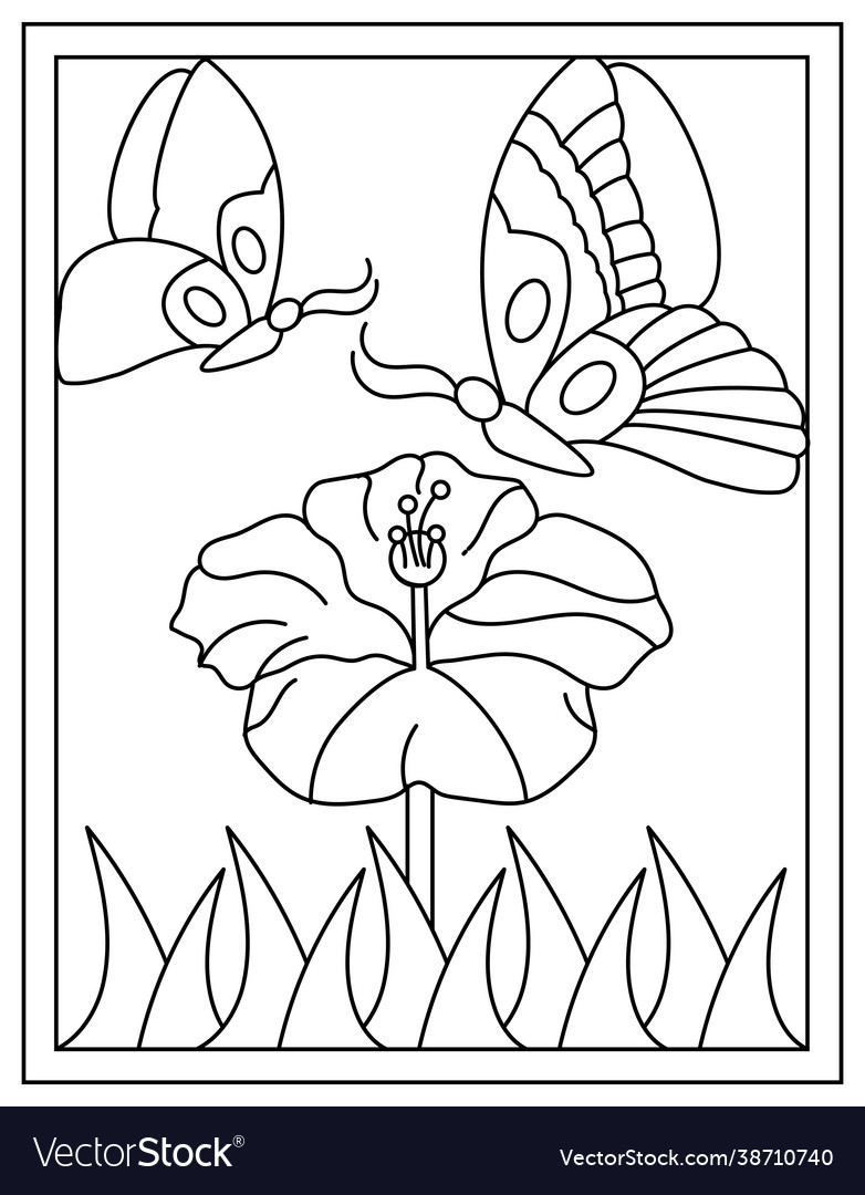 Morpho template Royalty Free Vector Image - VectorStock