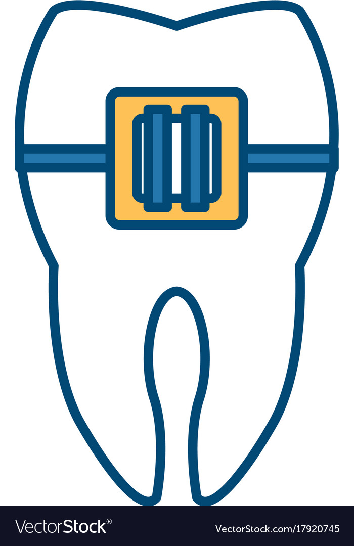 Tooth with bracket Royalty Free Vector Image - VectorStock