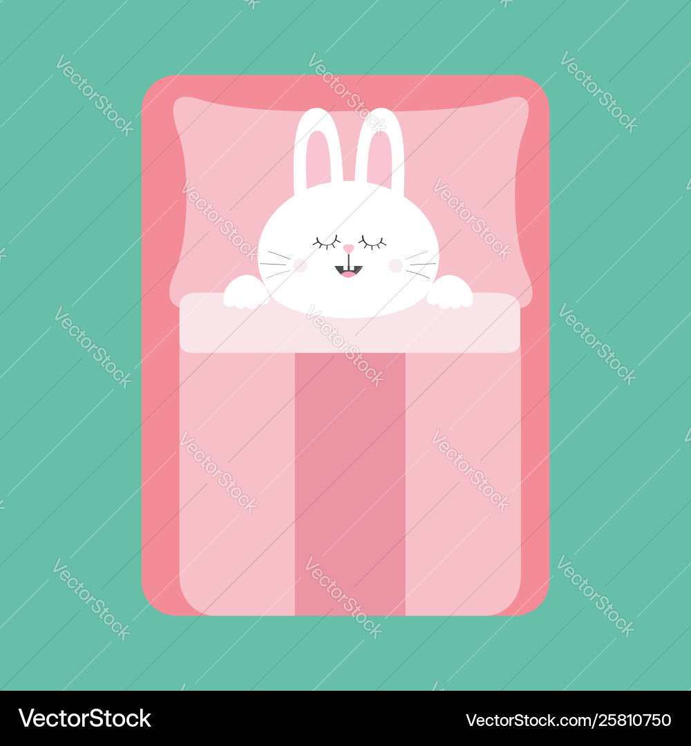 Sleeping rabbit bunny bapet animal collection Vector Image