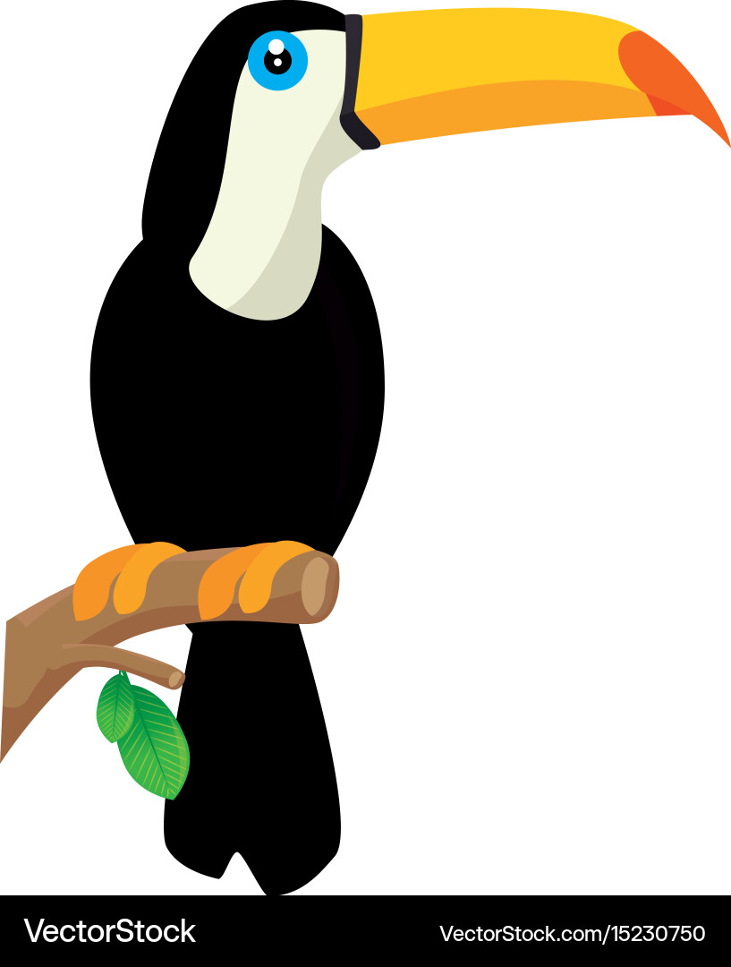 Toucan bird icon Royalty Free Vector Image - VectorStock