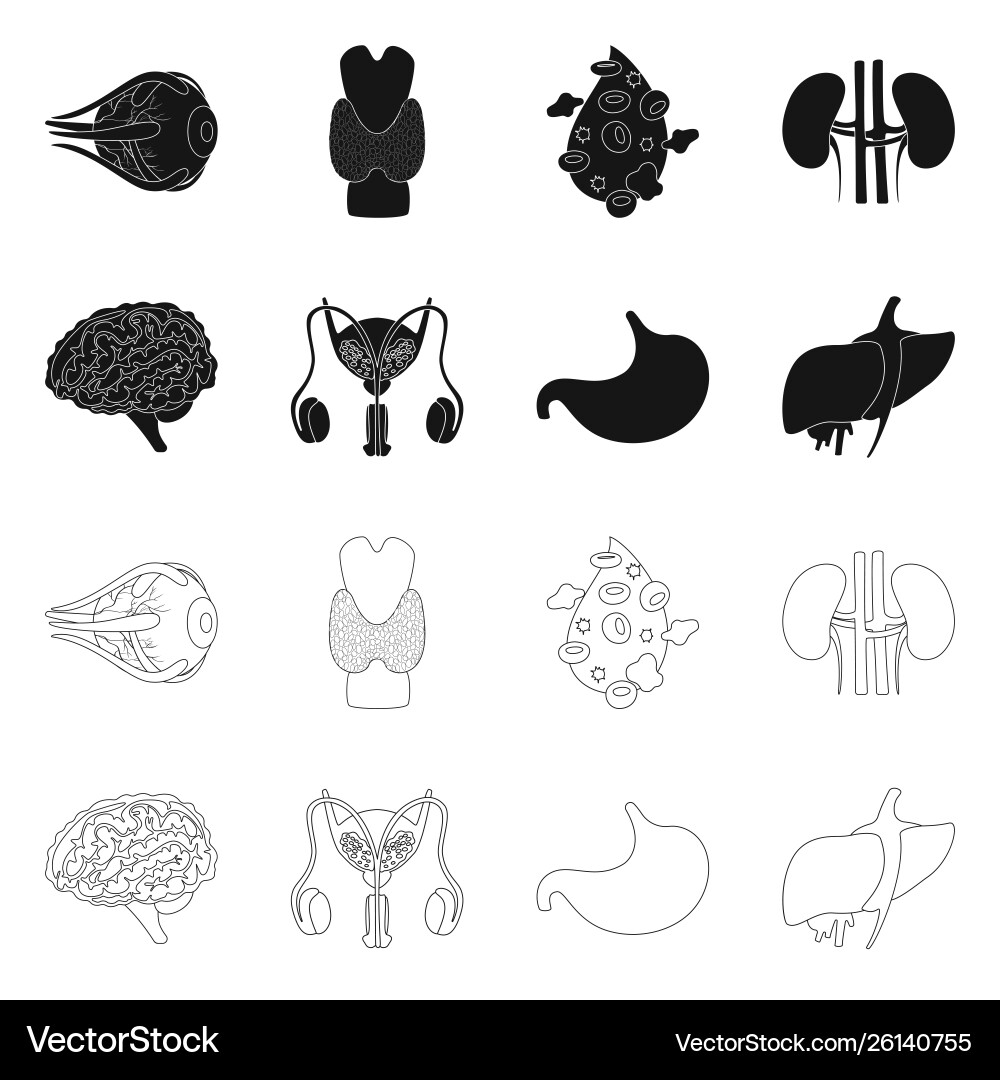 Biology and scientific icon Royalty Free Vector Image