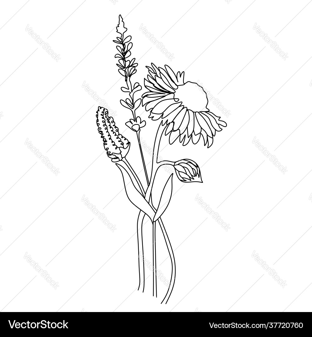 Abstract plant one line drawing hand drawn modern Vector Image