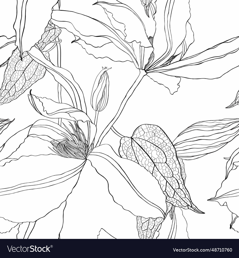 Clematis flowers floral tropical seamless pattern Vector Image Clematis flowers floral tropical seamless pattern Vector Image