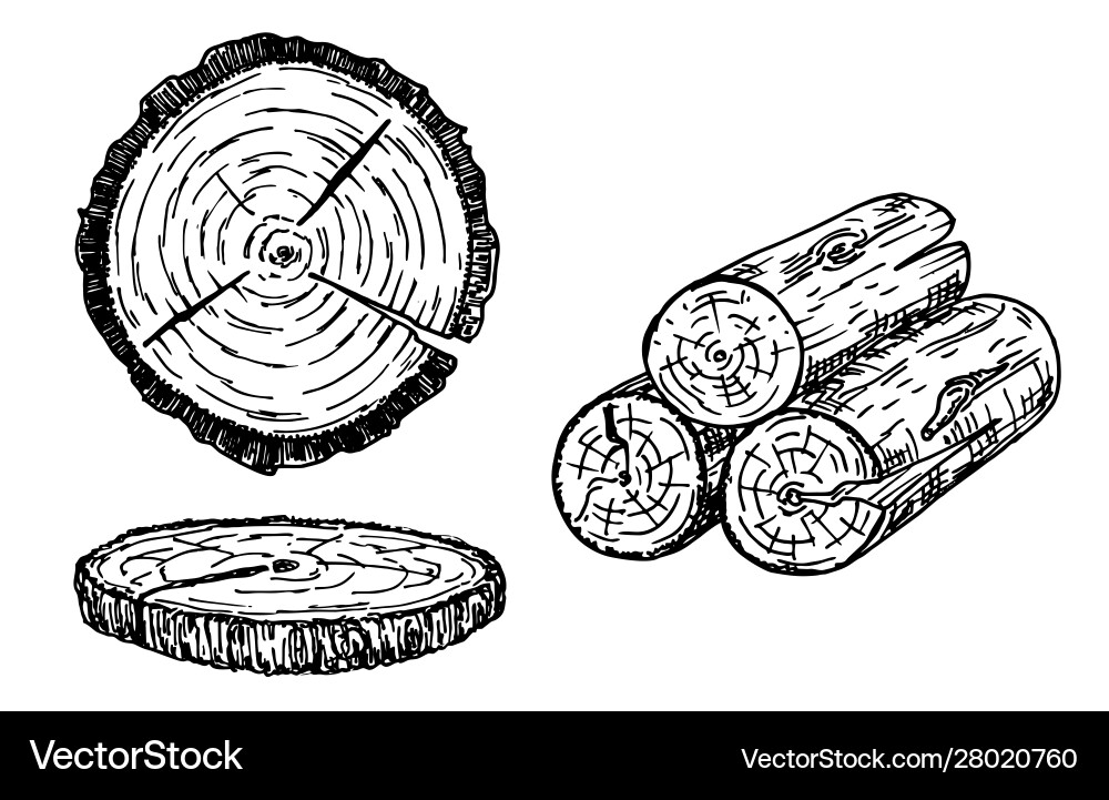 Wood logs trunk sketch hand drawn Royalty Free Vector Image