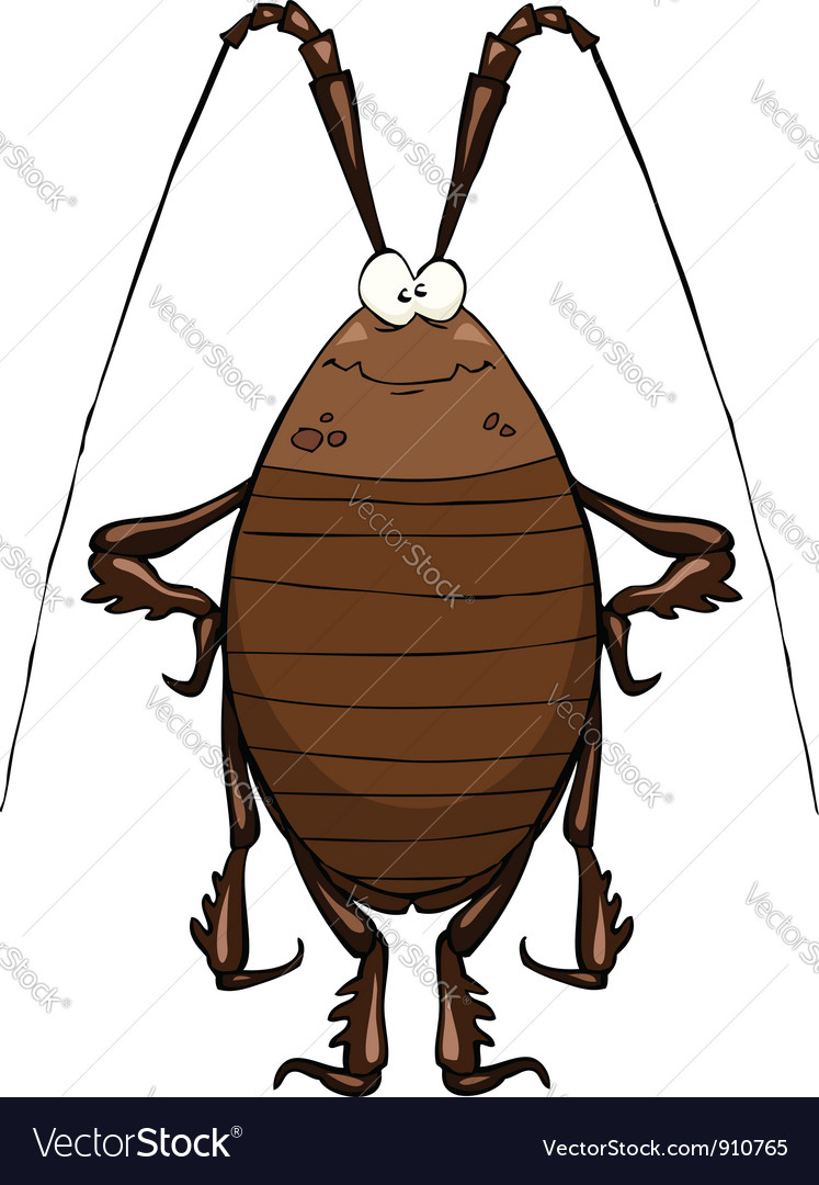 Cockroach Royalty Free Vector Image - VectorStock