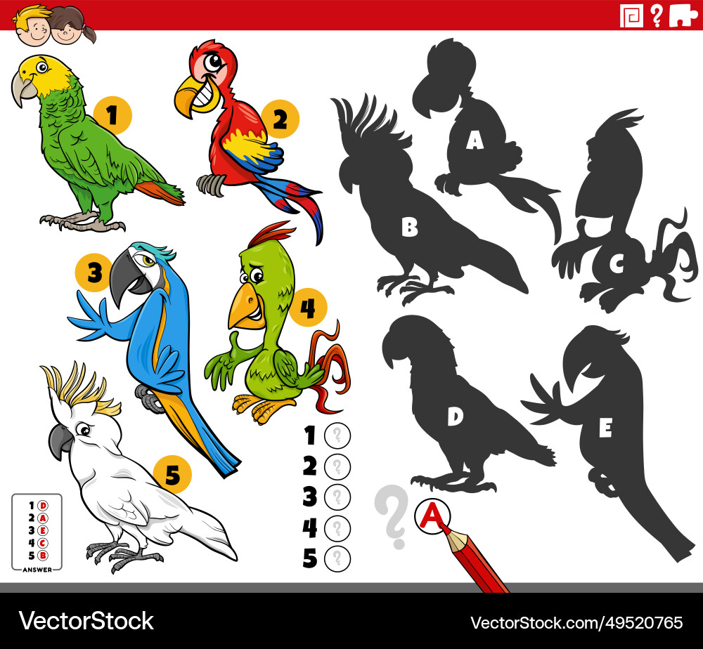 Finding shadows game with cartoon parrots animals Vector Image