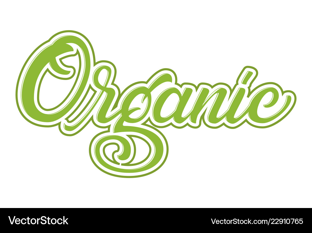 Hand drawn lettering organic with outline Vector Image