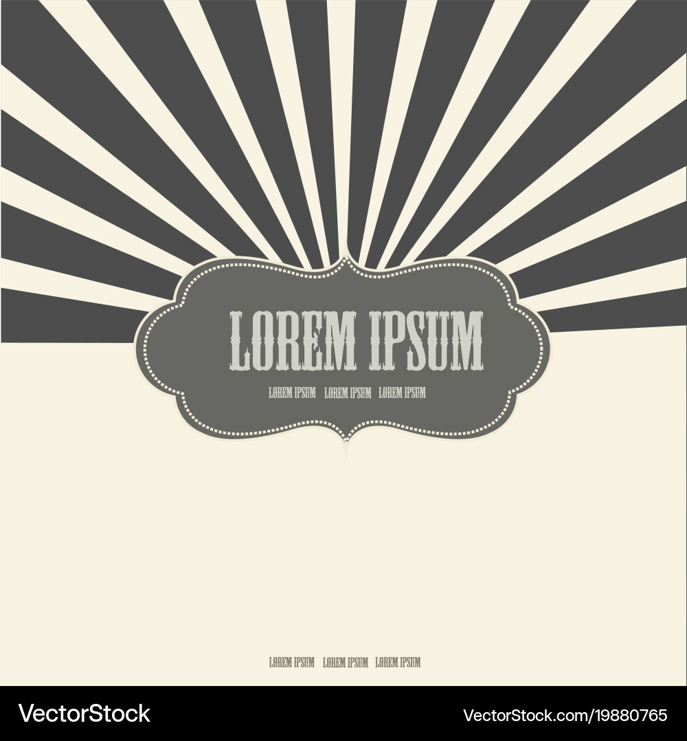 Stylish grey abstract starburst and sunburst Vector Image