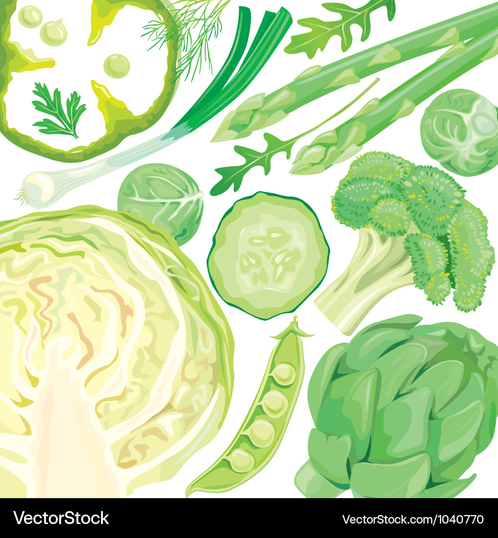 Mix of green vegetables Royalty Free Vector Image
