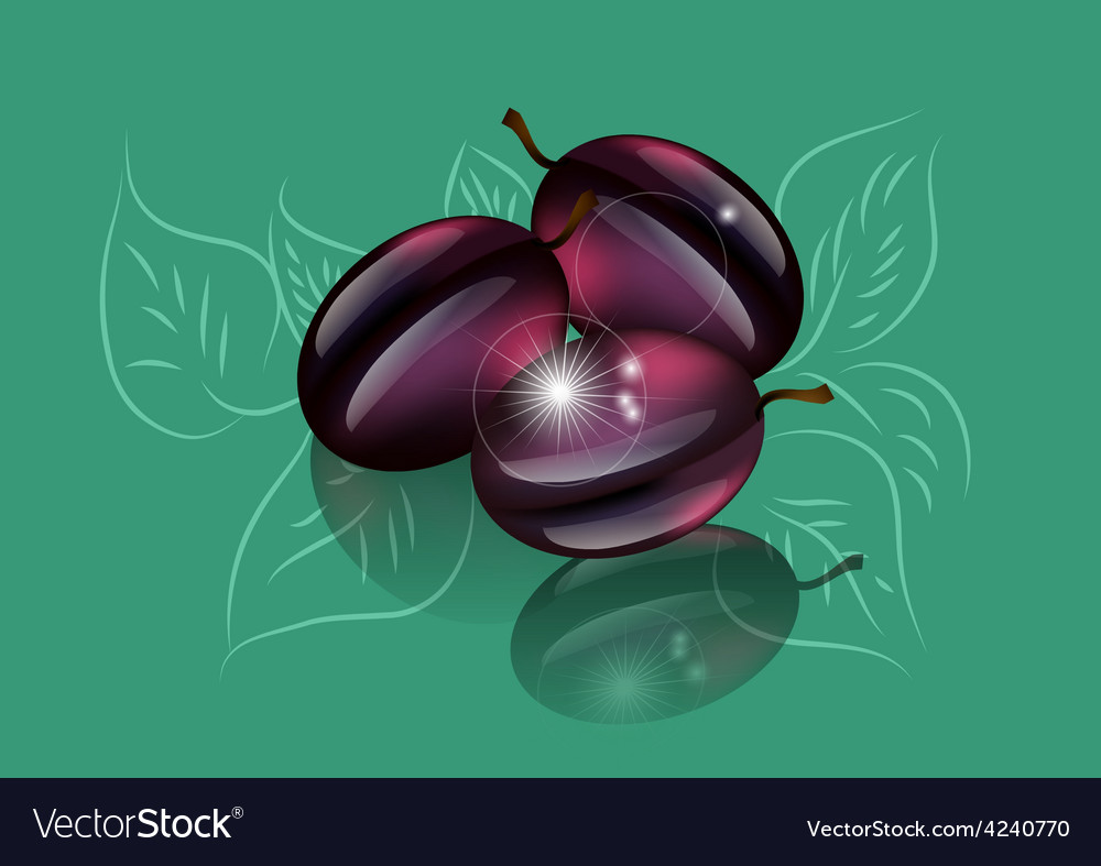 Plums tree Royalty Free Vector Image - VectorStock