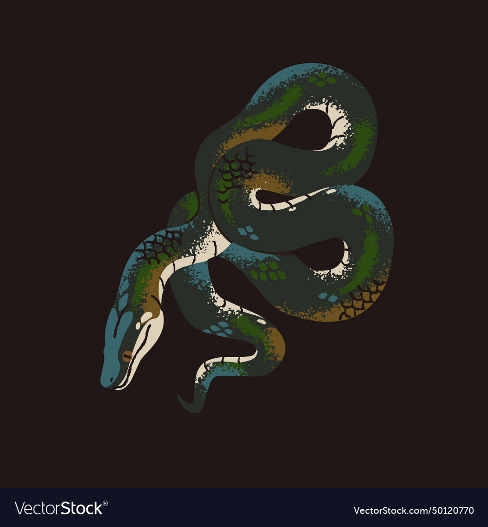 Rainbow boa white lipped or water python Vector Image