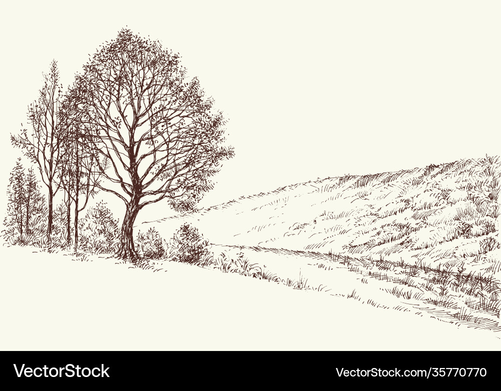 Trees on hills hand drawn landscape beautiful Vector Image