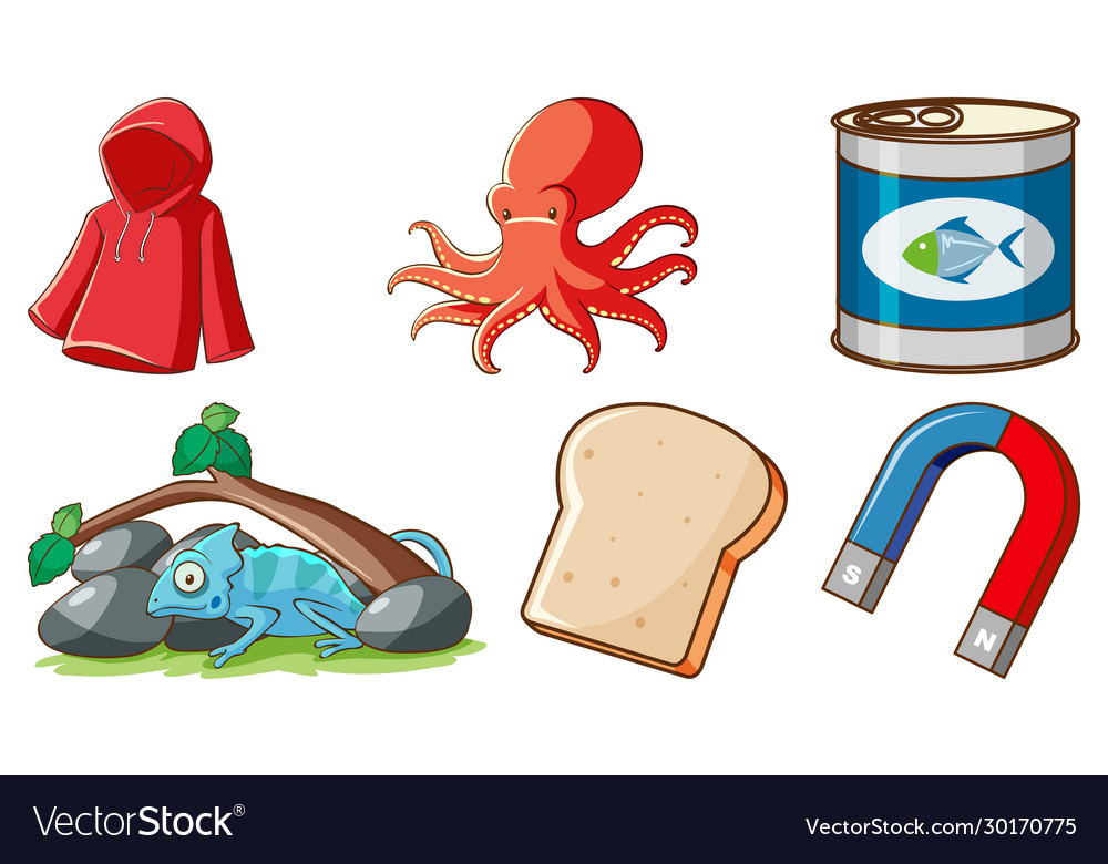 Large set different animals and other objects Vector Image