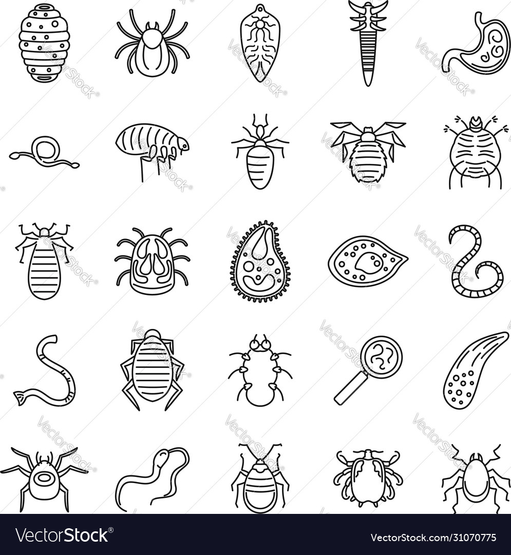 Parasite insect icons set outline style Royalty Free Vector Parasite insect icons set outline style Royalty Free Vector
