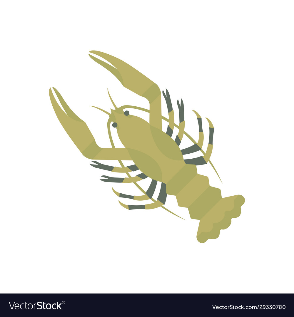 Crayfish Royalty Free Vector Image - VectorStock