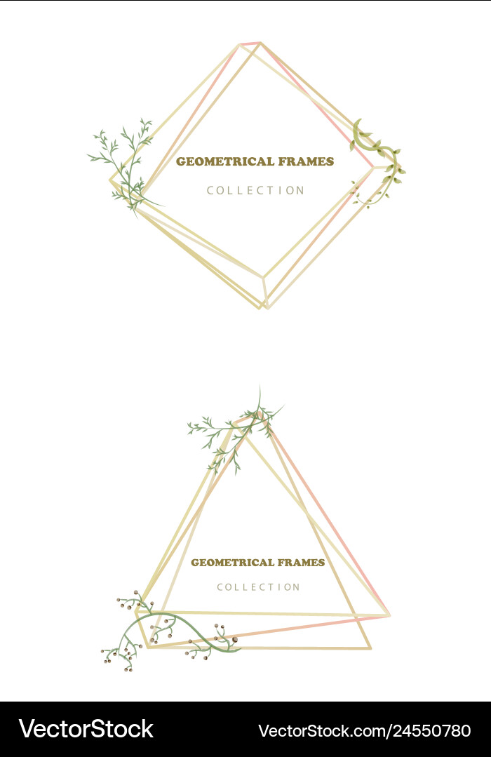 Floral elegant botanical card design Royalty Free Vector