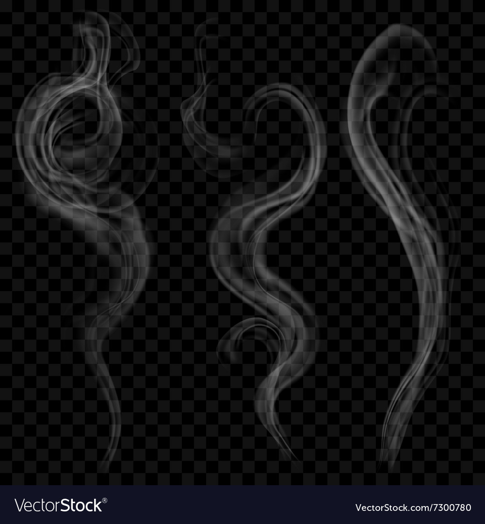 Gray smoke Royalty Free Vector Image - VectorStock