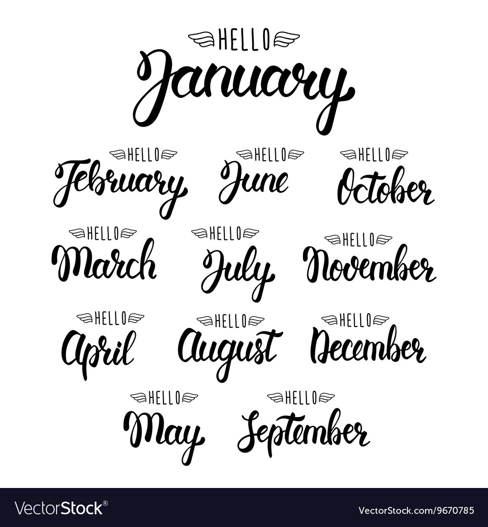 Calligraphic set of quote hello months the year Vector Image