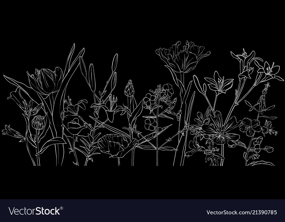 Drawing flowers Royalty Free Vector Image - VectorStock