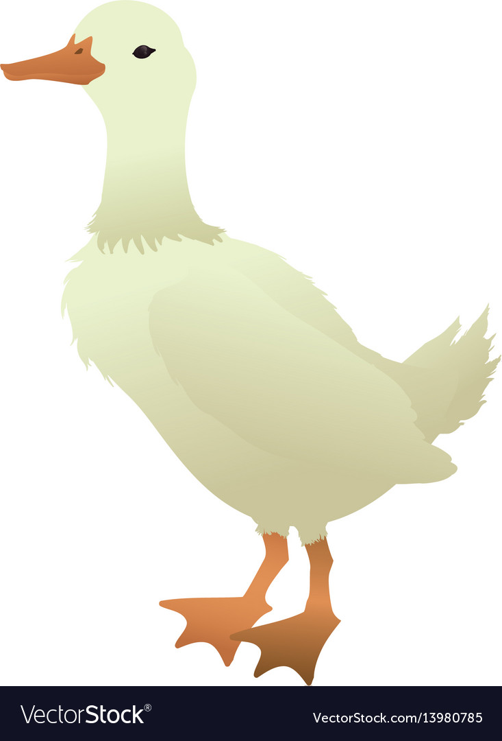 Duck farm animal Royalty Free Vector Image - VectorStock