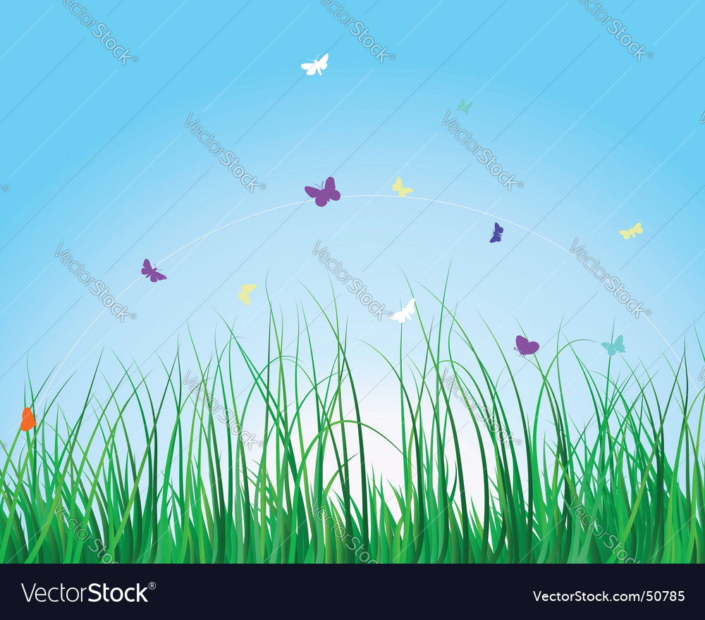 Grass background Royalty Free Vector Image - VectorStock