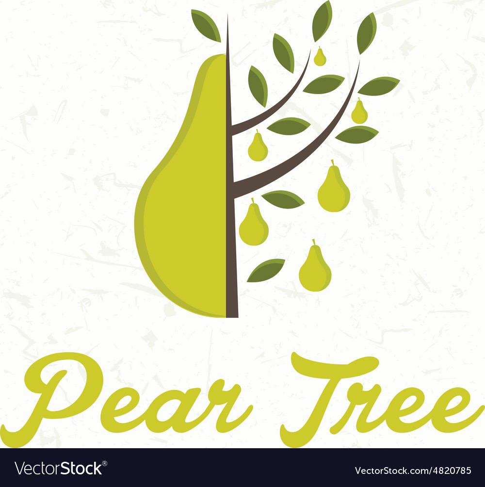 Pear tree with fruit Royalty Free Vector Image
