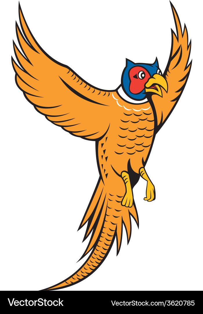 Pheasant bird fowl flying cartoon Royalty Free Vector Image