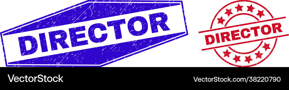 Director distress stamp seals in circle Royalty Free Vector