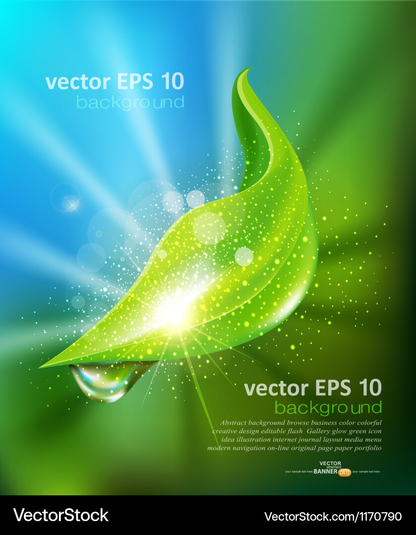 Green leaf and a drop of dew Royalty Free Vector Image