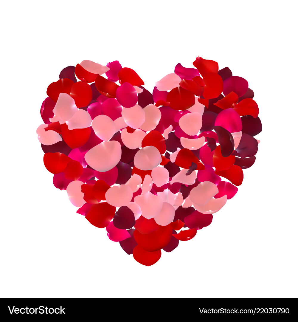 Pink and red rose petals Royalty Free Vector Image