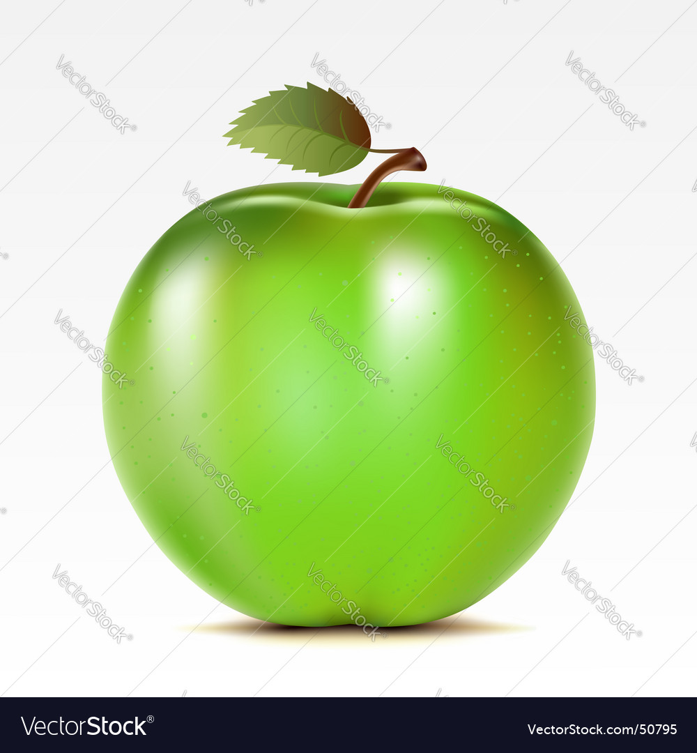 Apple Royalty Free Vector Image - VectorStock