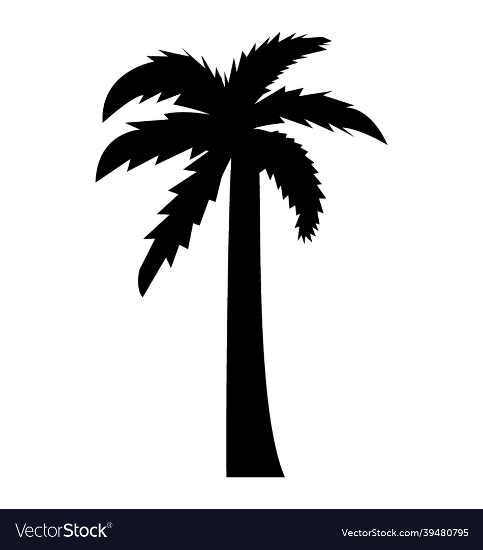 Beech tree Royalty Free Vector Image - VectorStock