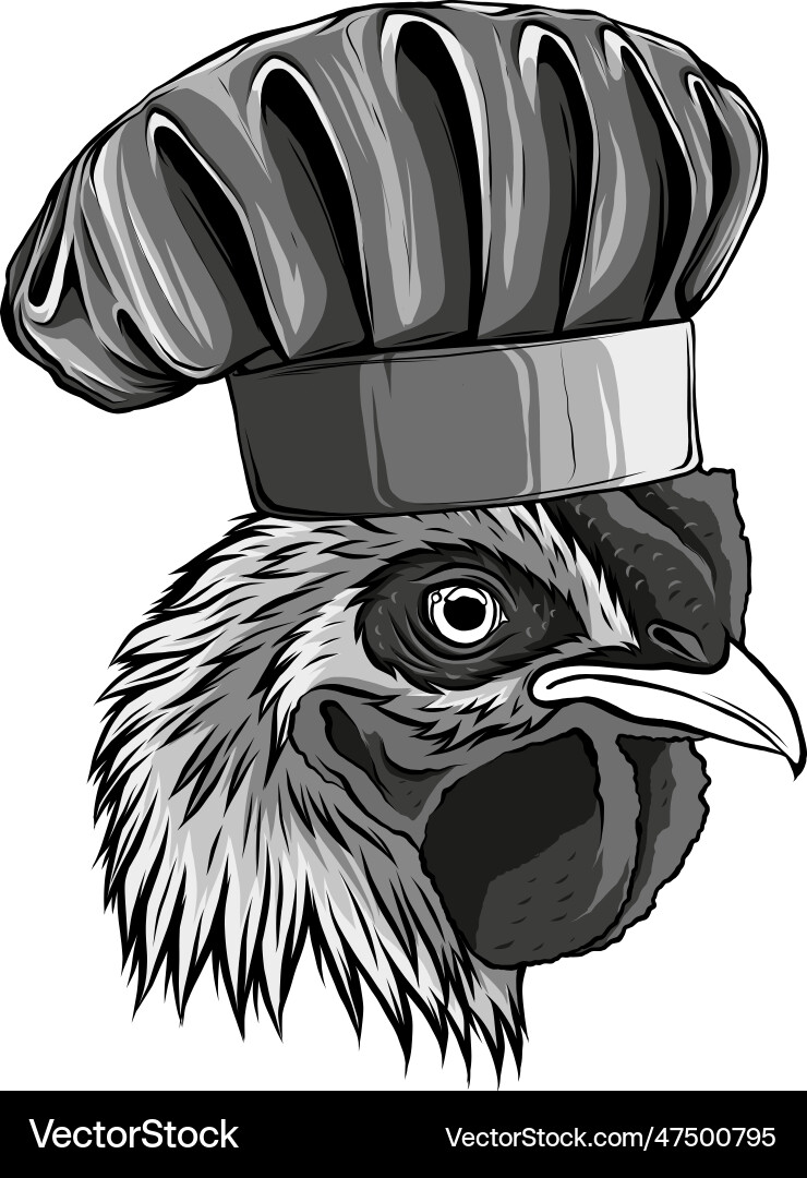Monochromatic of chicken chef Royalty Free Vector Image