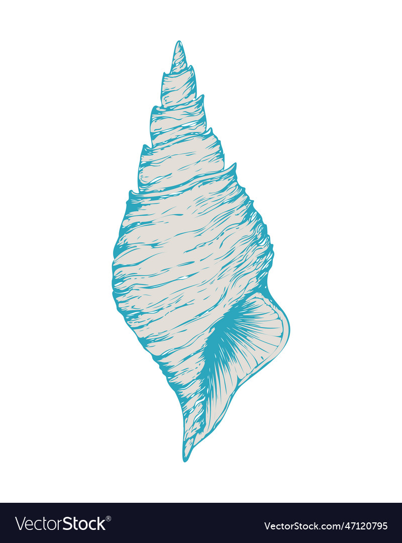 Shell blue sea ocean nature water Royalty Free Vector Image