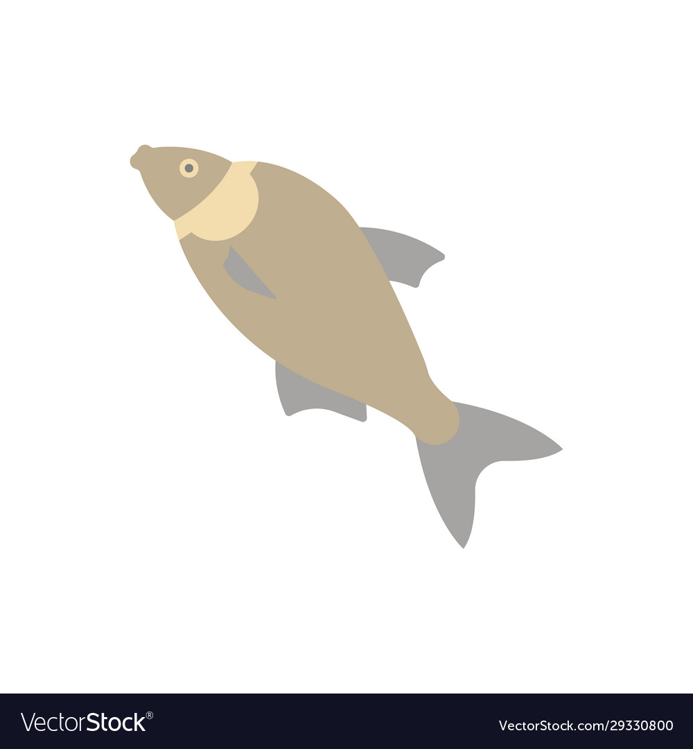 Bream Royalty Free Vector Image - VectorStock