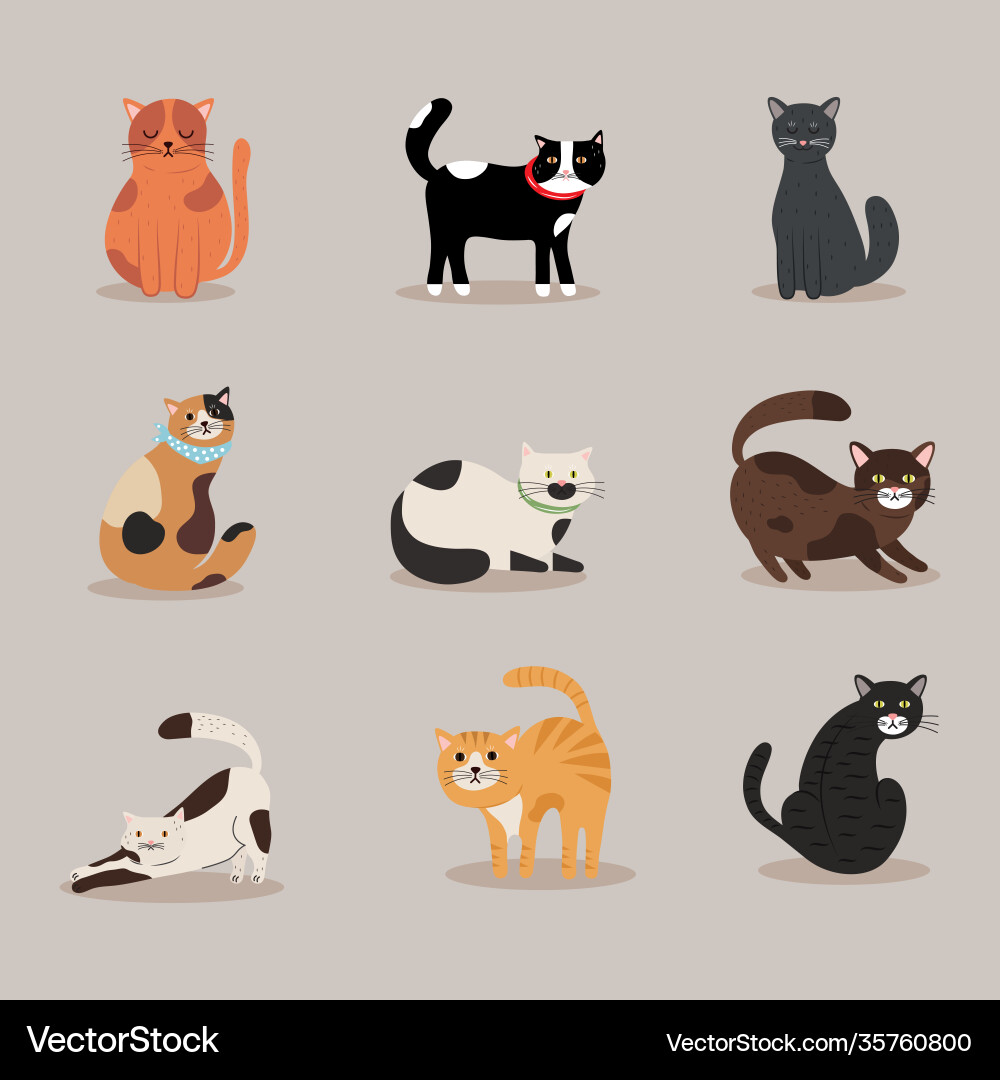 Bundle nine cats different colors mascots Vector Image
