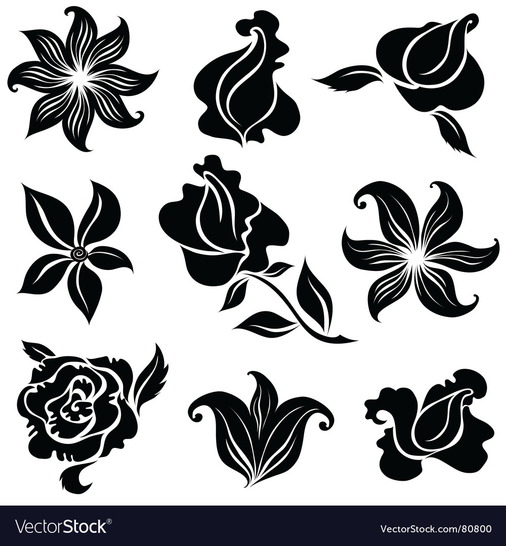 Floral design elements Royalty Free Vector Image