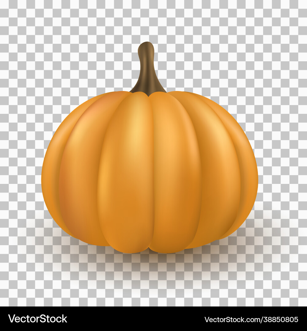 Realistic 3d pumpkin isolated on transparent Vector Image