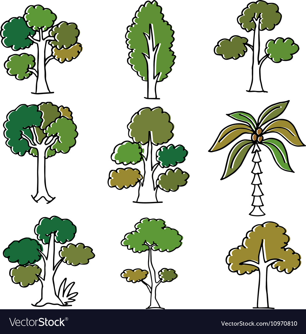 Doodle of tree nature collection Royalty Free Vector Image