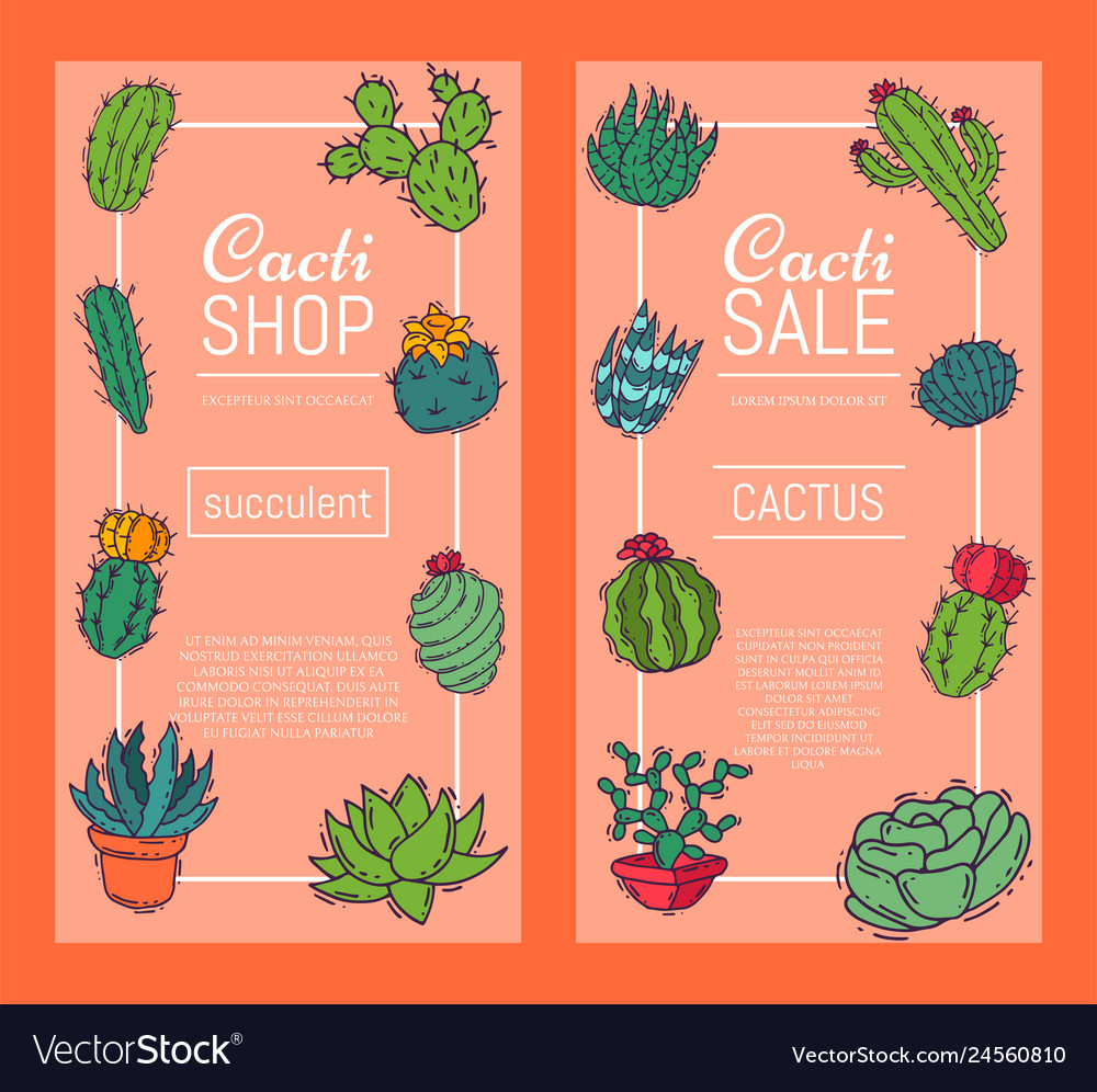 Succulents decorative banners cacti green plants Vector Image