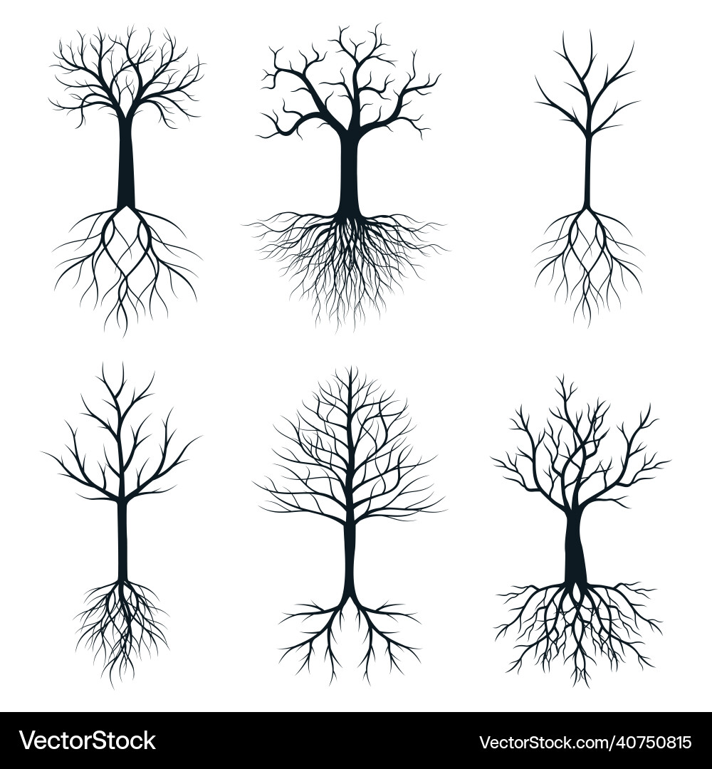 A set of trees with roots Royalty Free Vector Image