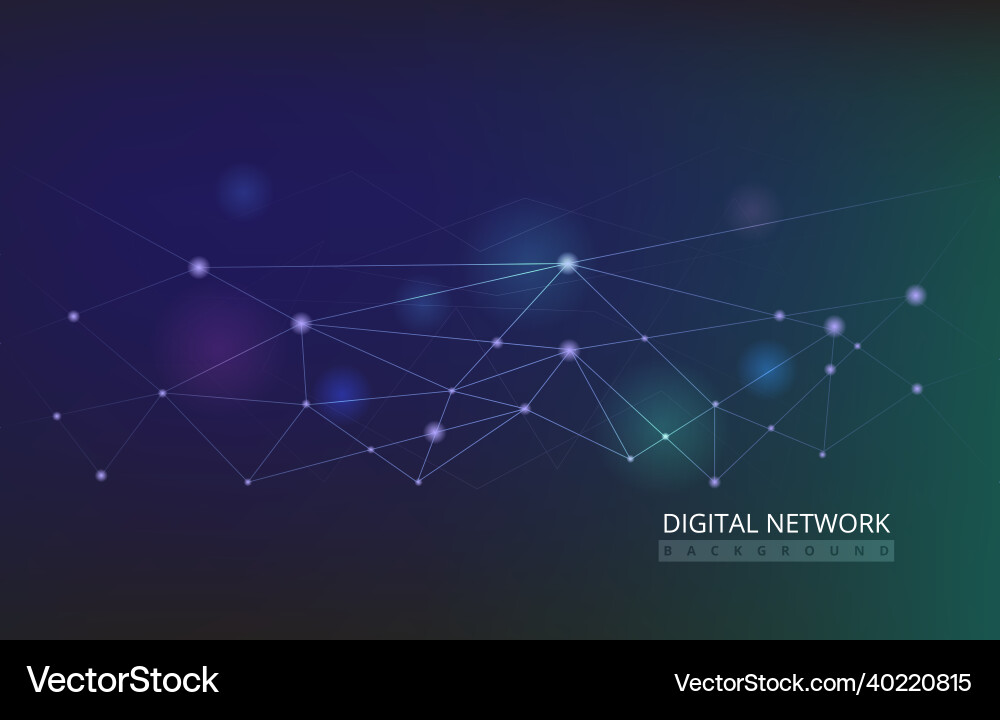 Digital network connection internet technology Vector Image