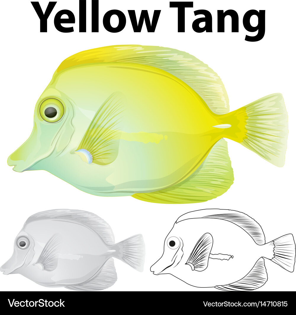 Doodle character for yellow tang fish Royalty Free Vector