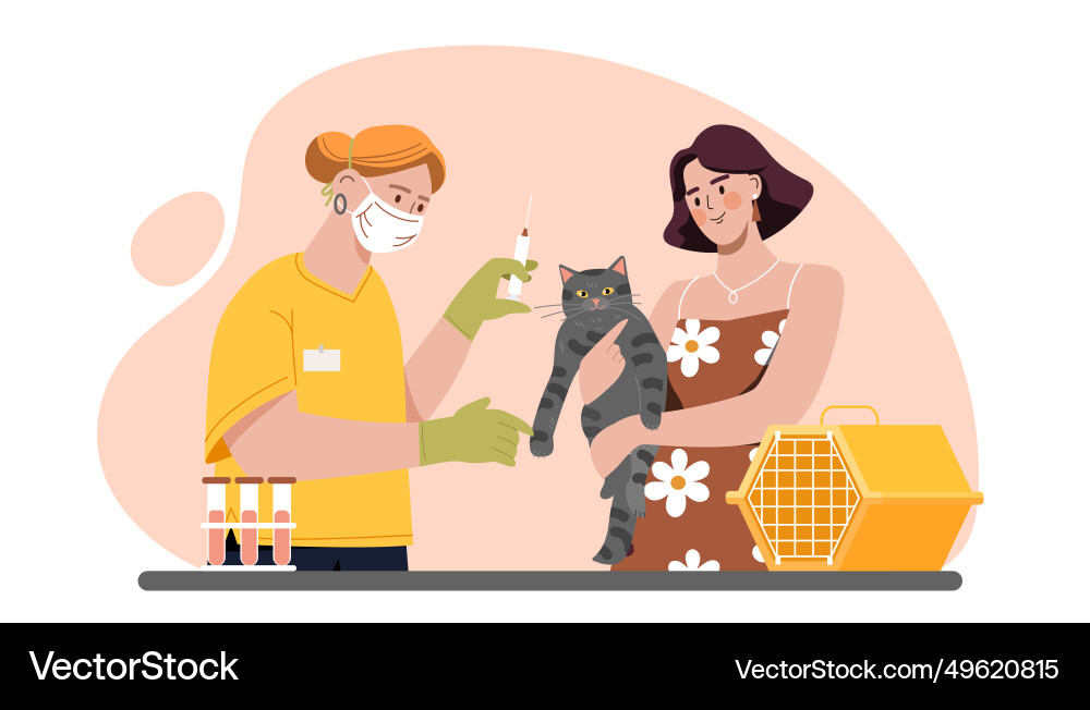 Veterinarian with cat concept Royalty Free Vector Image