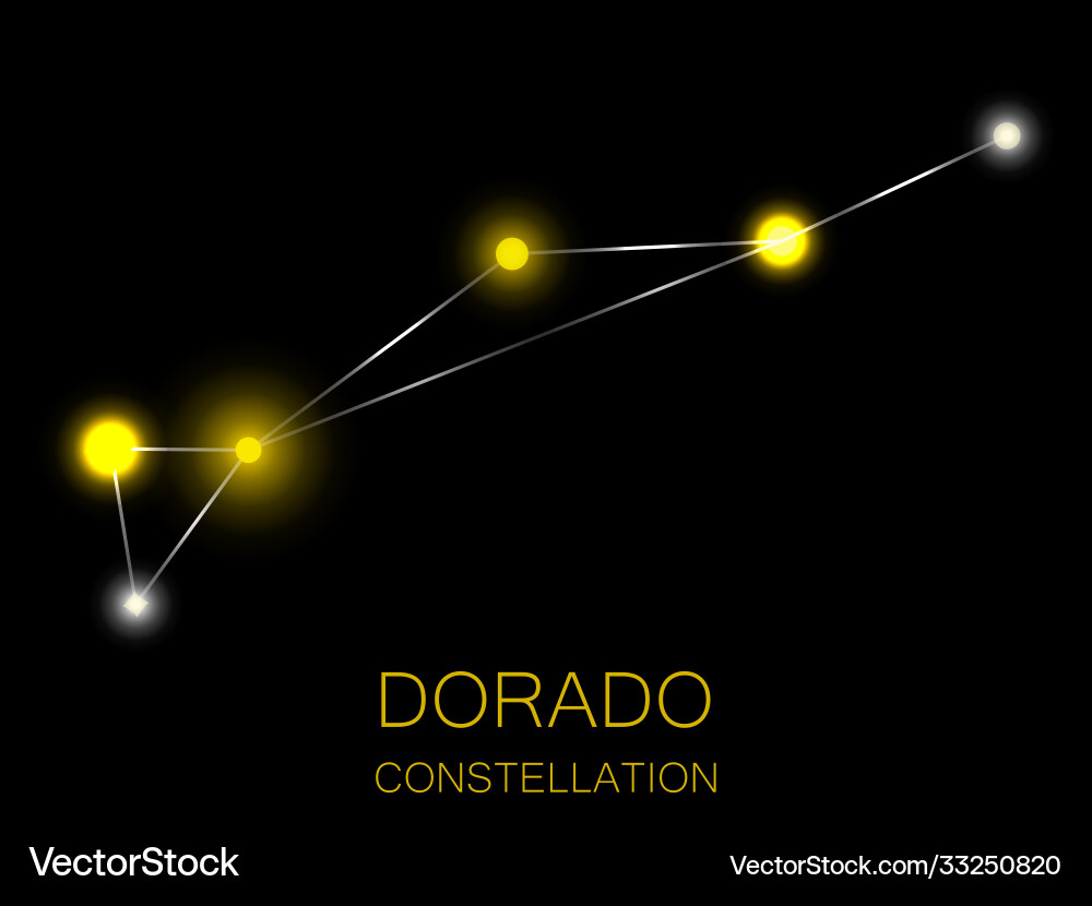 Dorado constellation bright yellow stars Vector Image