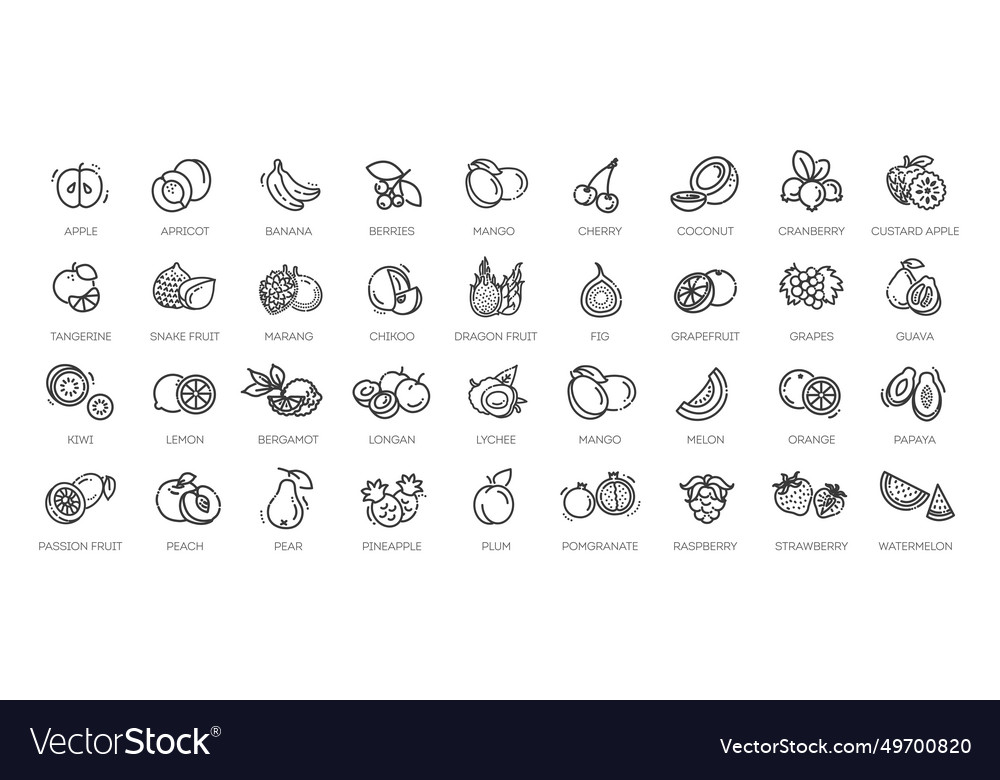 Fruit healthy eating thin line pack icons Vector Image