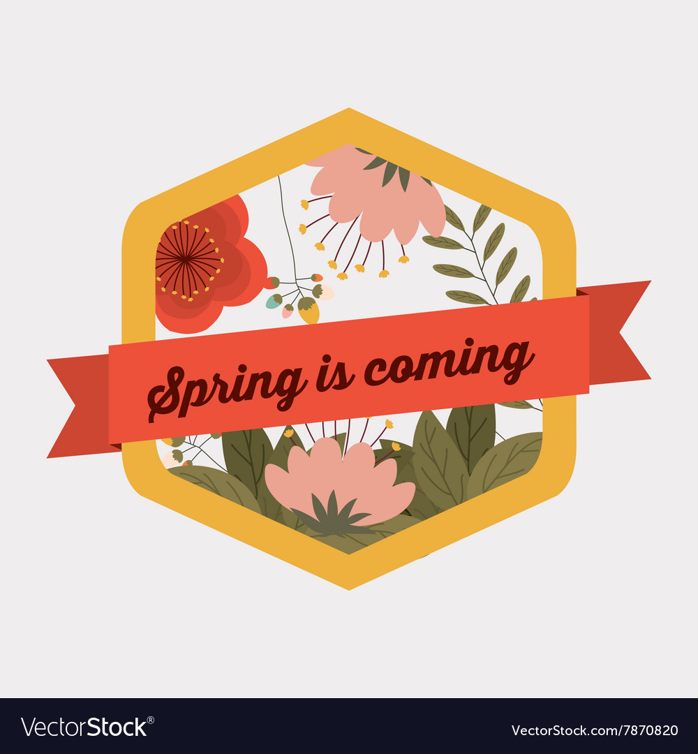 Hello spring design Royalty Free Vector Image - VectorStock