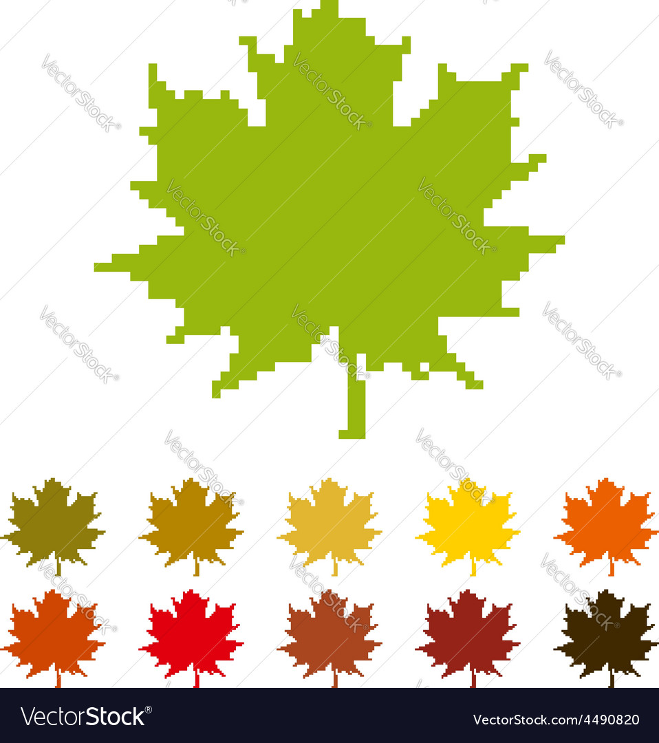 Pixel maple leaf Royalty Free Vector Image - VectorStock
