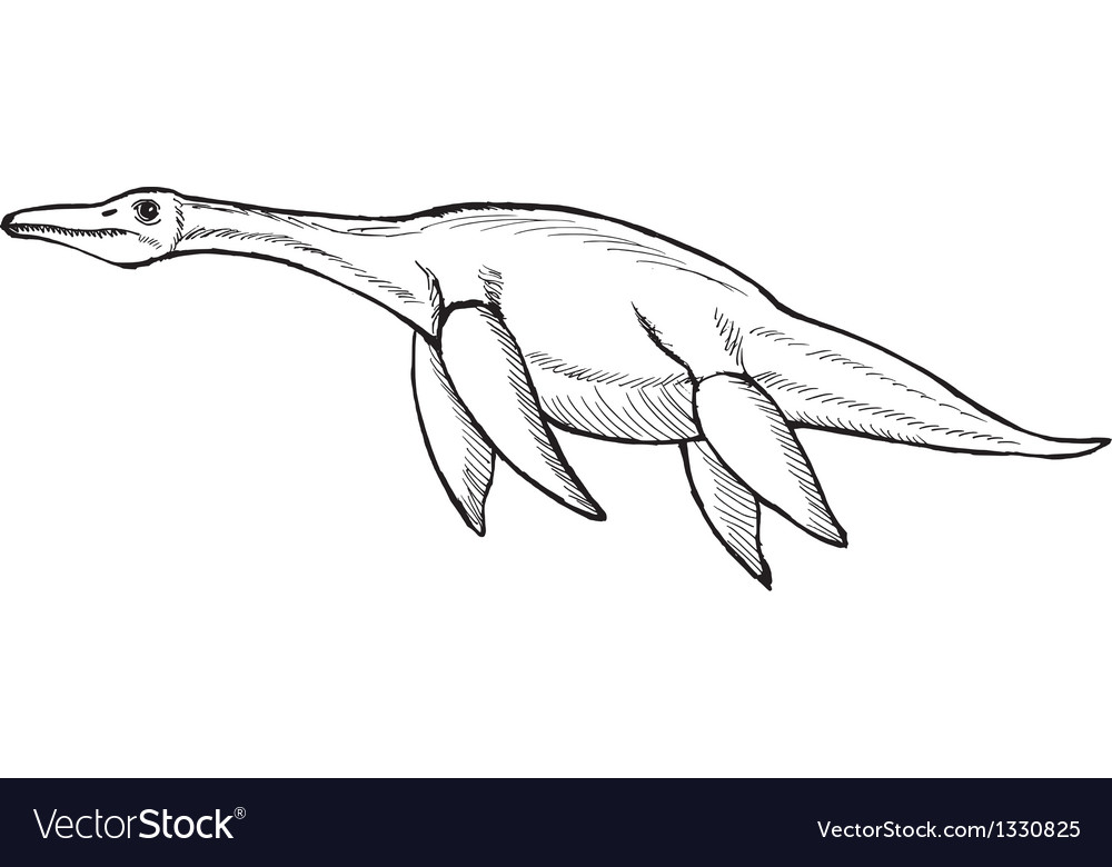 Plesiosaurus Royalty Free Vector Image - VectorStock
