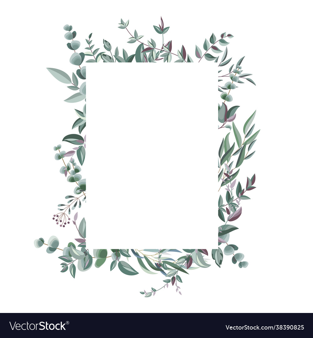 Square frame from eucalyptus Royalty Free Vector Image